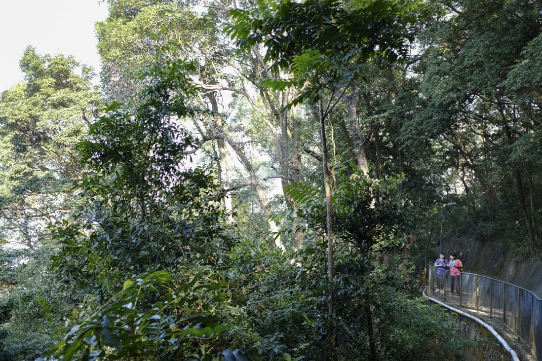 Lung Fu Shan, Hong Kong’s smallest country park, is right on the city’s ...