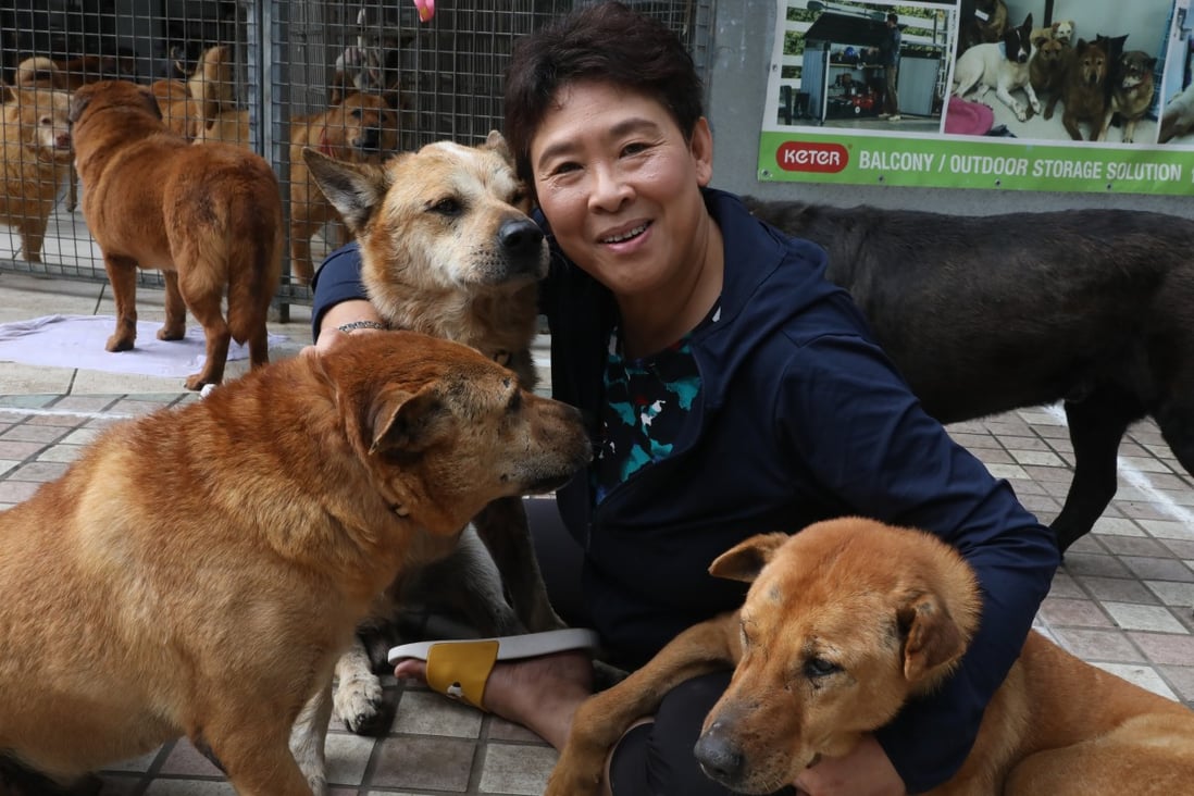 She sold two village homes, jewellery, to run Hong Kong Homeless Dog ...