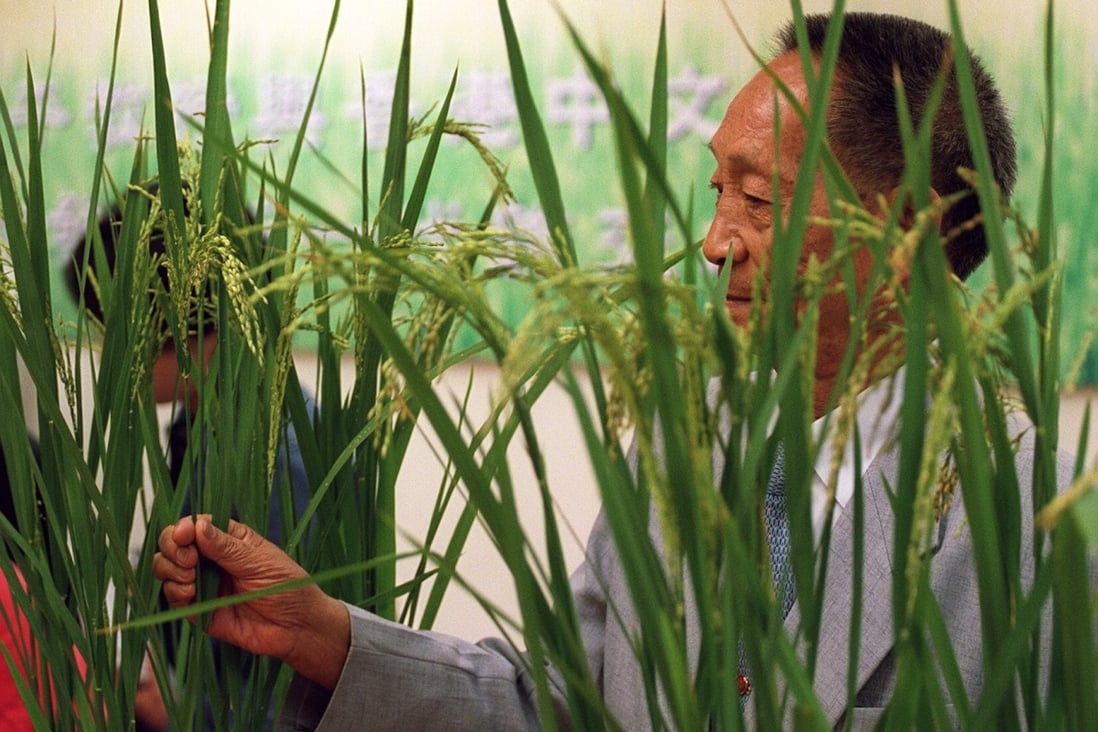China’s ‘father of hybrid rice’ Yuan Longping dies at 90 | South China ...