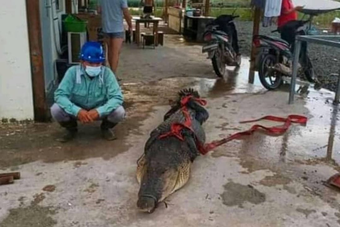 Chinese workers in Indonesia face five years in jail after killing ...