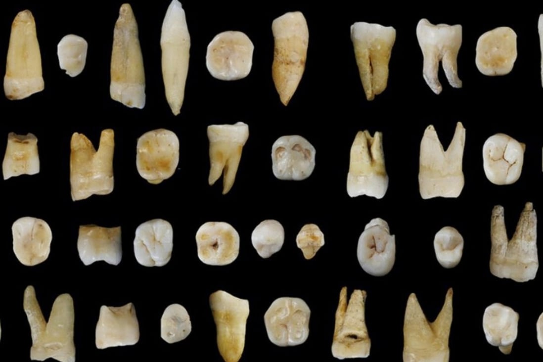 Fossils found in Chinese cave rewrite history of human migration out of ...