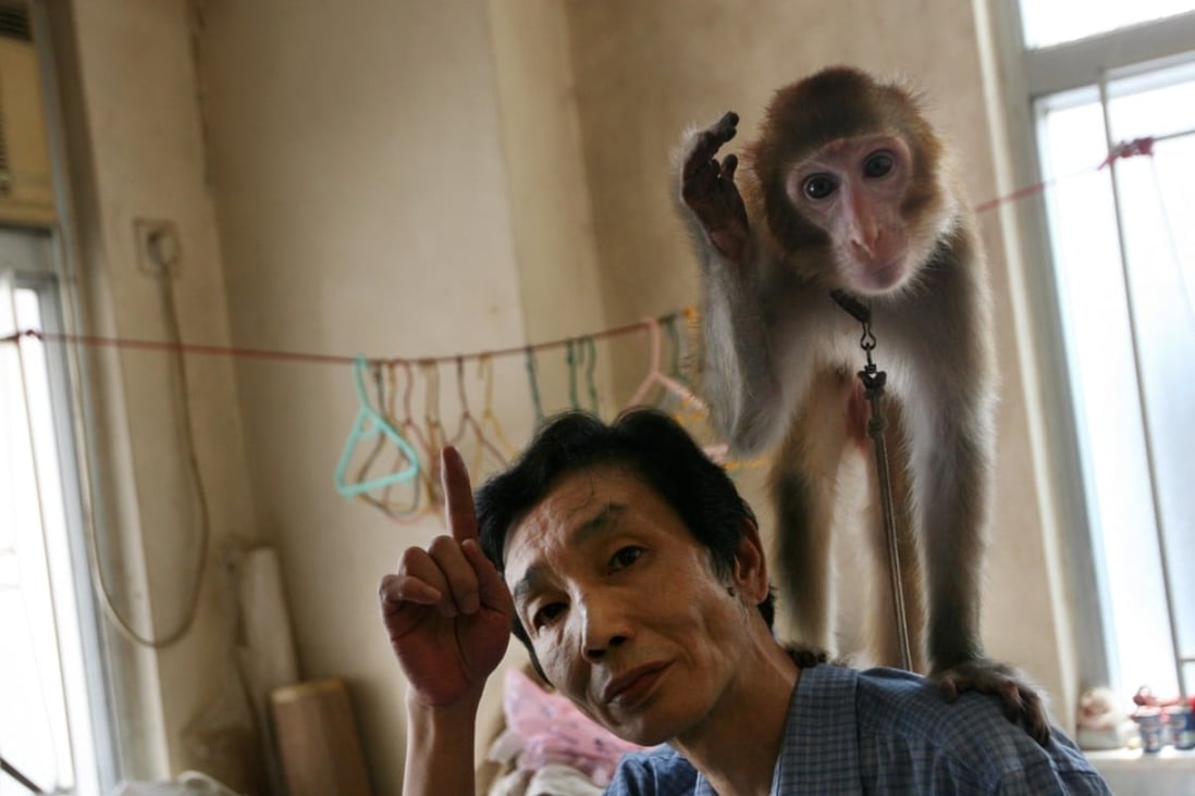 Legendary Hong Kong monkey which owner fought to keep at home in high ...