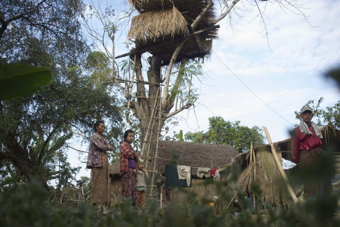 Rampaging elephants force Myanmar villagers to take refuge in tree-top ...