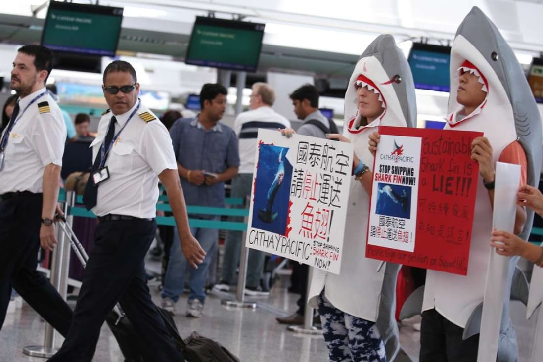 Cathay Pacific targeted in shark fin protest at Hong Kong International ...
