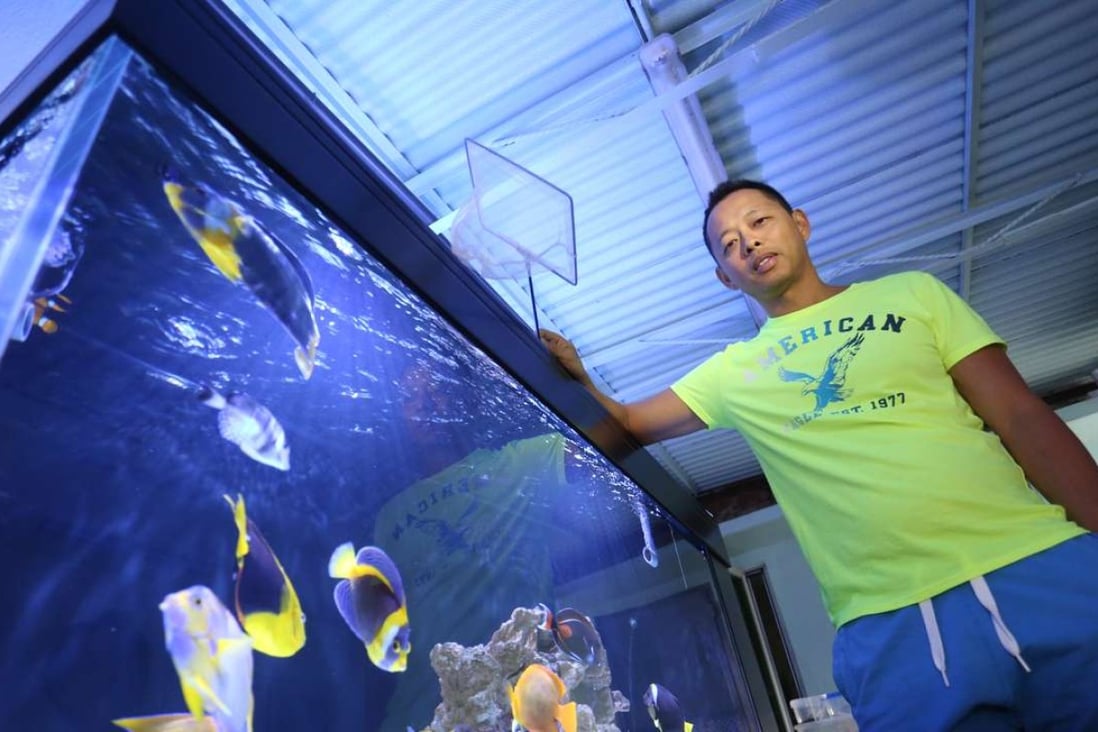 5 of the most expensive marine aquarium fish money can buy in Hong Kong ...