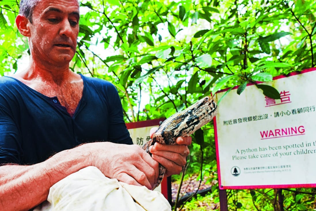 Expat mauled by python pleads for it to be spared | South China Morning ...