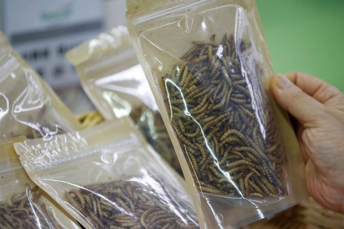 Edible insects on the menu as South Korea launches publicity blitz to ...