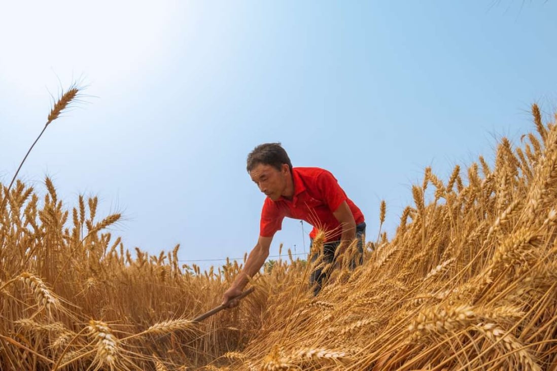 Playing by WTO rules ... China defends grain subsidies against US ...