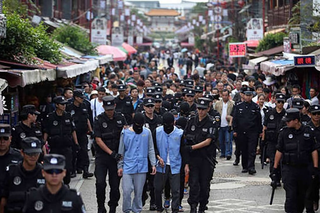 Young gang accused of carrying out eight robberies in eight days in ...