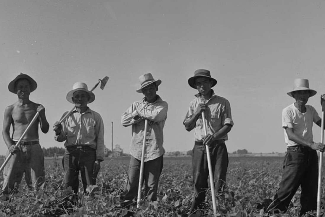 The real secret to Asian success in America was not about education ...