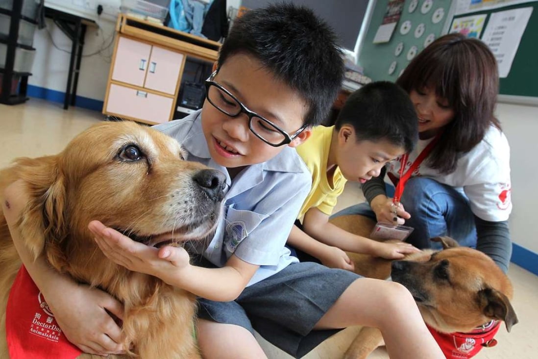Therapy dogs bring love and joy to Hong Kong children with mental ...