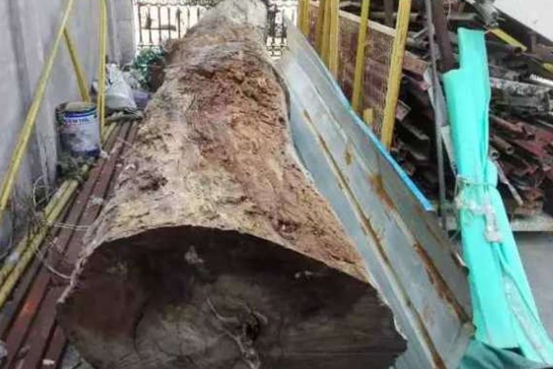 Chinese ‘rare wood investor’ pays 1.68 million yuan for common lumber ...