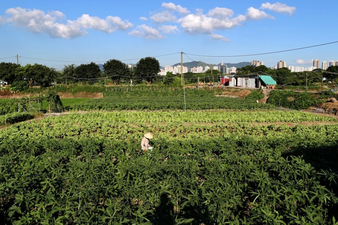 How Hong Kong can build affordable housing on developers’ land banks in ...