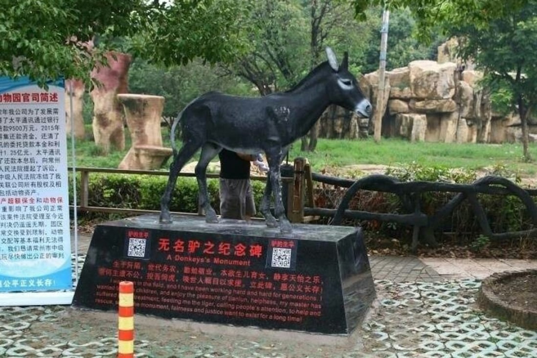 Chinese zoo erects statue to honour donkey tossed into tigers’ den ...