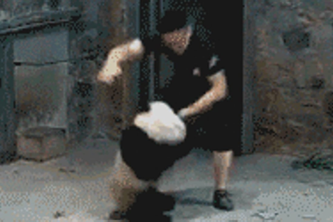 Giant pandas bite back at manhandling keepers in China | South China ...