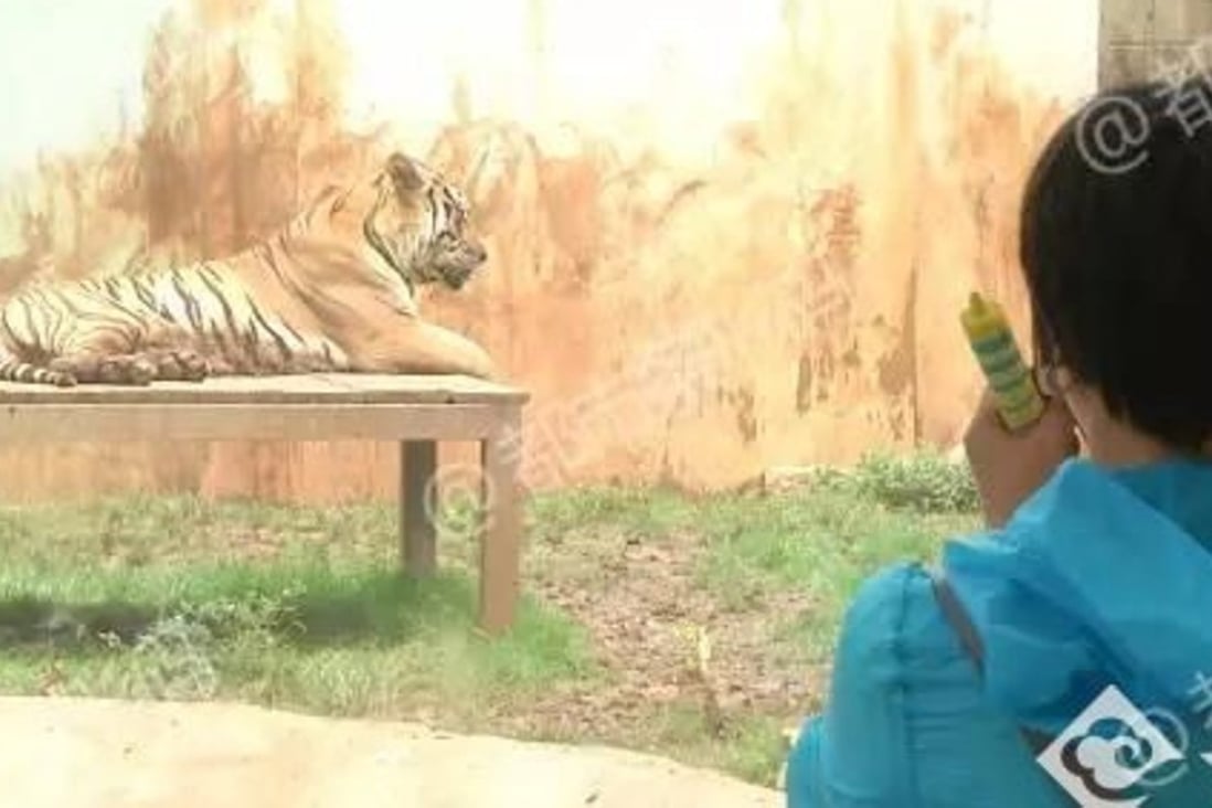 Siberian tiger killed in fight to the death with big cat ‘pal’ at ...