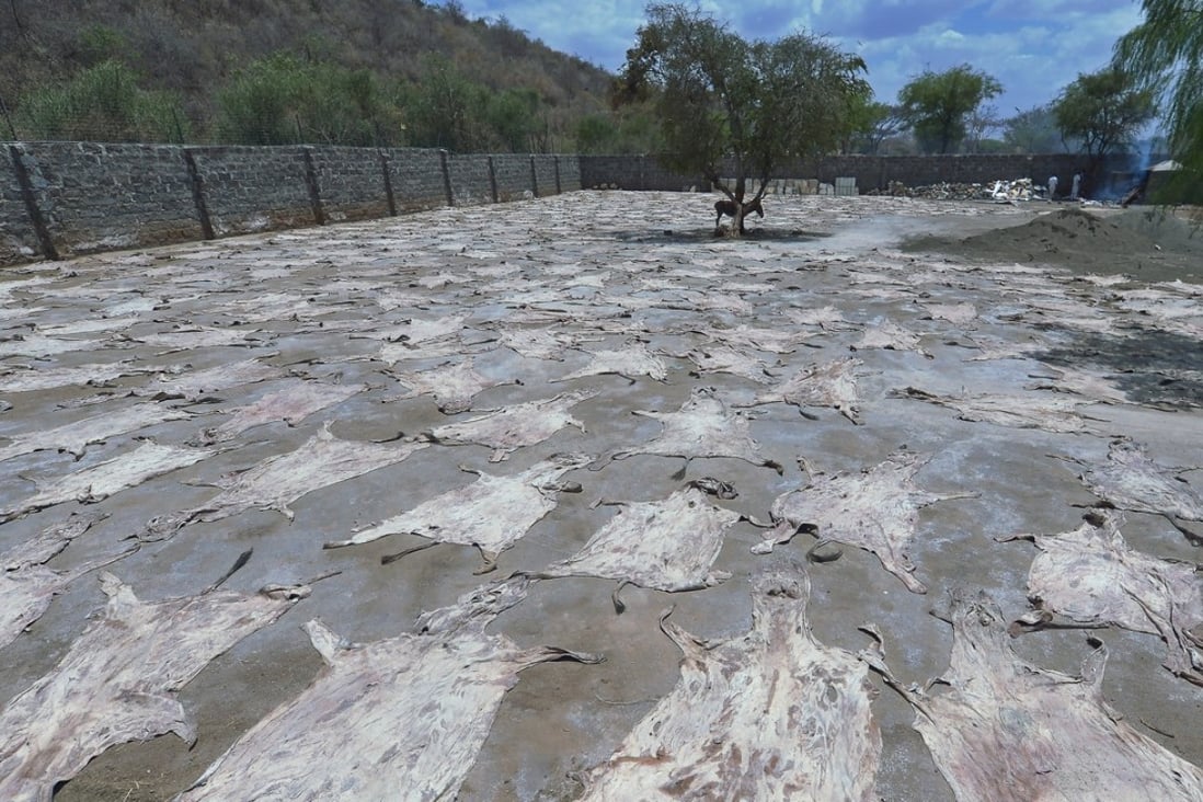 China cuts import taxes on donkey hide as appetite for skin and meat ...