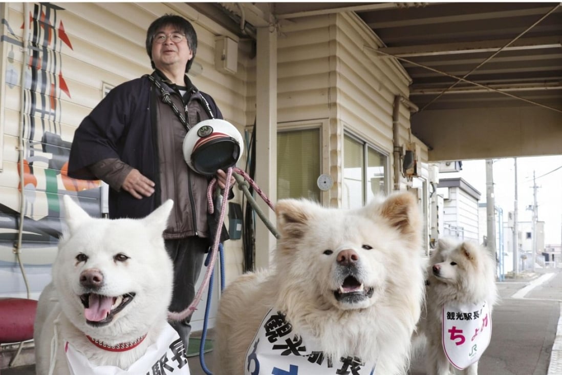 Train station dog Wasao who stole Japan’s heart with his ‘cute and ugly ...