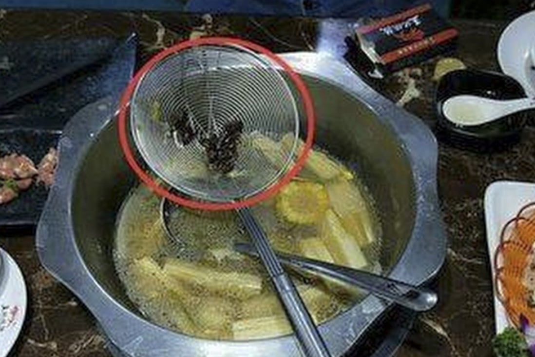 Chinese diners find eight cockroaches in their hotpot | South China ...