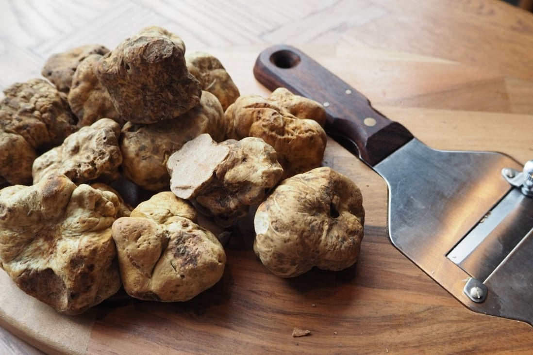 7 of the best places in Hong Kong to savour white truffles this season ...