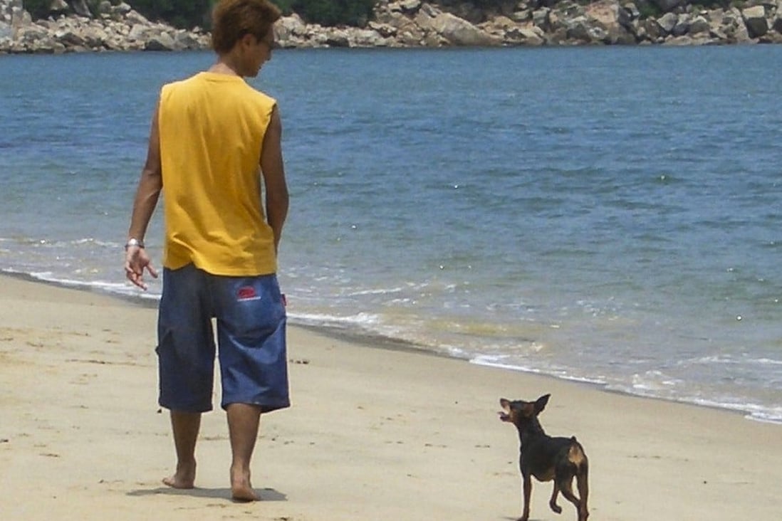 How a pet dog inspired a course at the Chinese University of Hong Kong ...