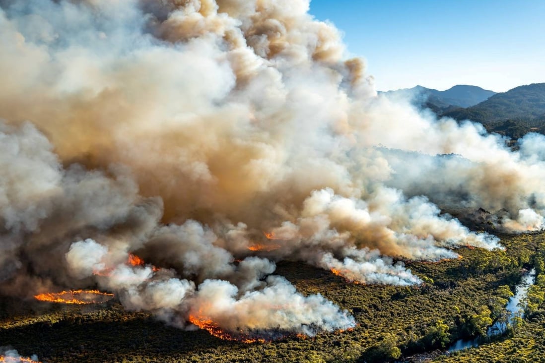 As threat of global warming becomes deadly reality, what can Hong Kong ...