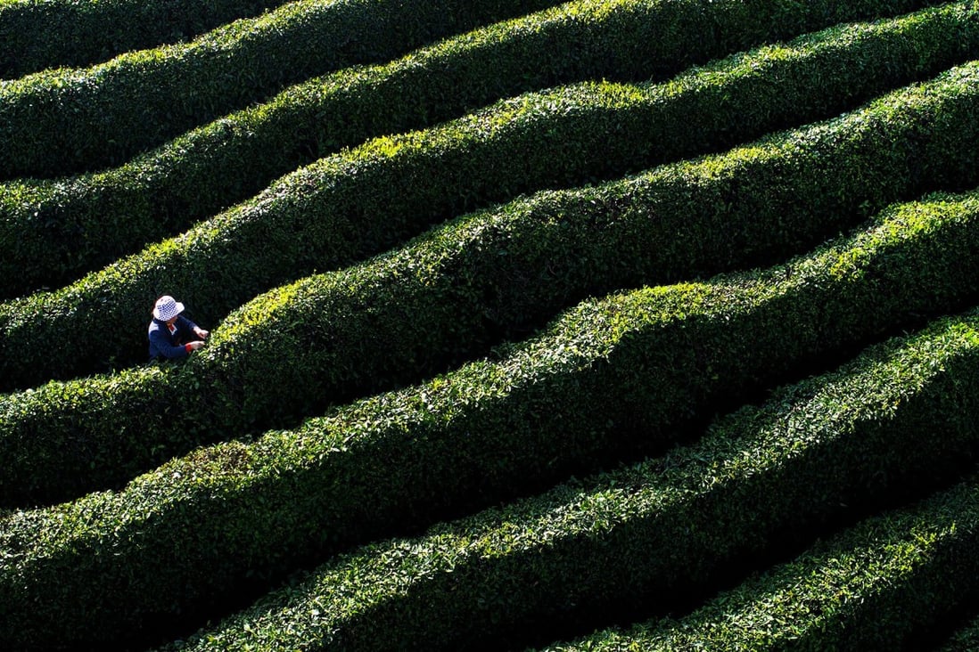 China to deepen reforms of agriculture sector to boost rural areas ...