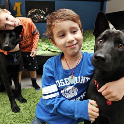 There are many ways to find a lost dog | South China Morning Post