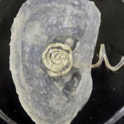 US researchers create 'bionic ear' | South China Morning Post
