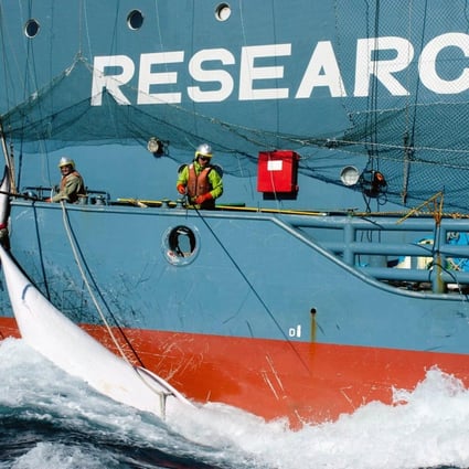 Conservationists fear Japan will continue whale slaughter with 'legal ...