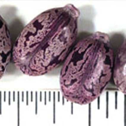 US health agency finds old ricin, other deadly pathogens in labs ...