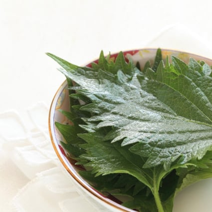 Shiso Leaf Has As Many Uses As It Does Names South China Morning Post