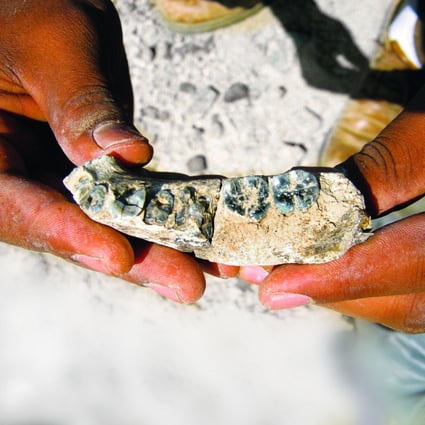 Jawbone fossil in Ethiopia sheds light on human origins | South China ...