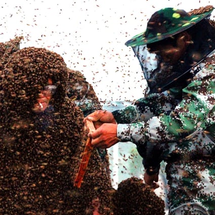 'Unbeelievable!': Chinese man claims world record after covering ...