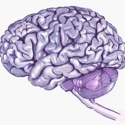 Scientist says he has grown tiny but near-complete human brain in lab ...