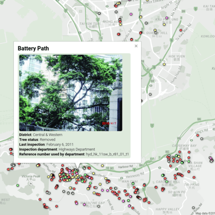 Tracking the health of Hong Kong's trees: an interactive map | South ...