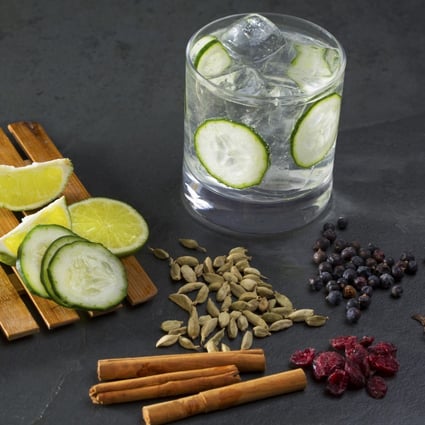 How gin began life as a herbal remedy, and ways to drink it now | South ...