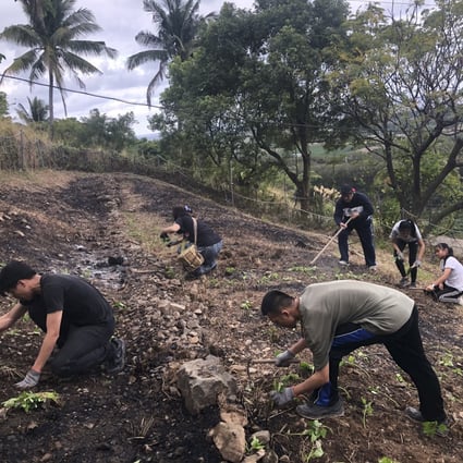 Something different to do in Taiwan: farm stay gives glimpse of tribal ...