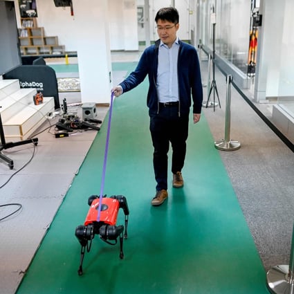 Tech firm’s robo-dogs have their day in China as pet ownership booms ...