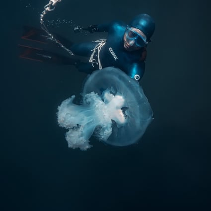 Why freediving is such a thrill – ‘You’re basically like a fish ...