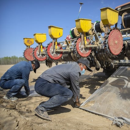 US Congress approves ban on Xinjiang imports, tying them to forced ...