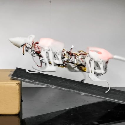 Chinese scientists create robot rat and it could prove to be a ...