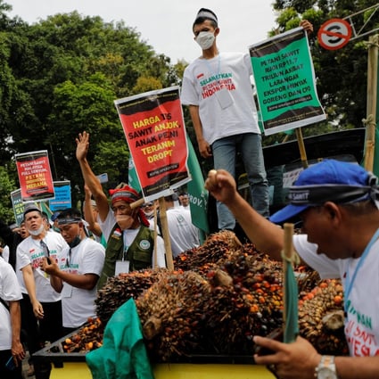 Indonesian farmers protest against palm oil export ban: ‘Malaysian ...