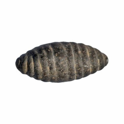 A 5,200-year-old stone-carved chrysalis provides window into the ...