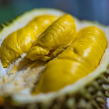 China turns to durian diplomacy to boost ties with Southeast Asia ...