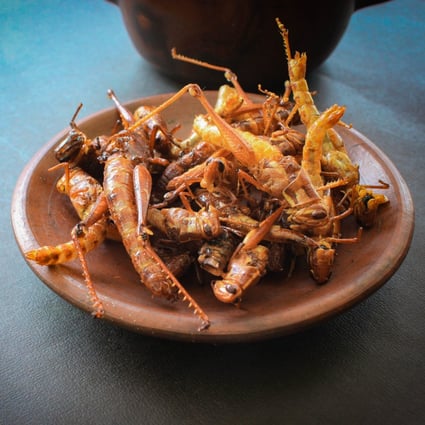 In-flight meals made partly from insects a Japanese airline’s ...