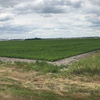 US Senate bill would ban Chinese investment in US agribusiness, citing ... US Senate bill would ban Chinese investment in US agribusiness, citing ...