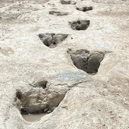 Drought uncovers dinosaur tracks in US park | South China Morning Post