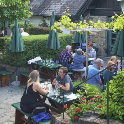 Heurigen in Vienna, pubs that grow grapes and make wine for everyday ...