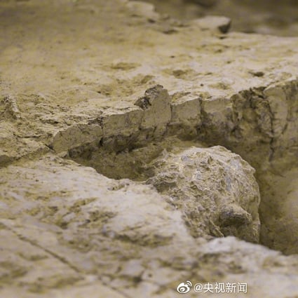 Million-year-old skull found in China fills human evolutionary gap ...